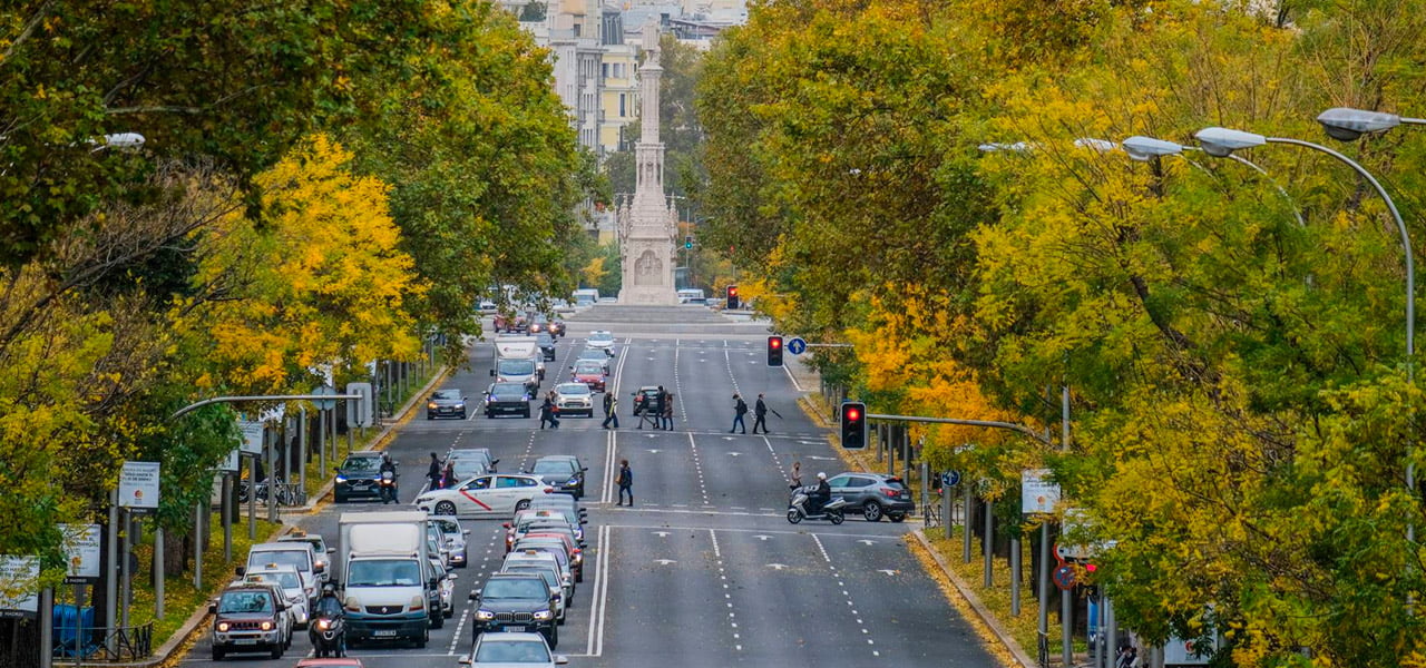 ¿Qué es un bulevar o boulevard? Definición, características y ejemplos