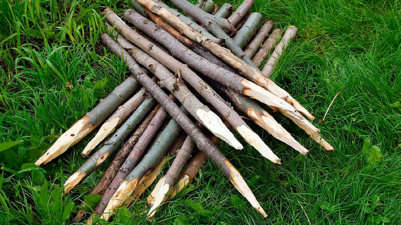 ¿Qué son y para qué sirven las estacas? Usos y aplicaciones