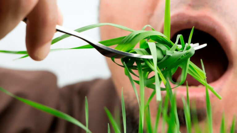 ¿Qué es un gen recesivo y dominante? - Diferencias y ejemplos